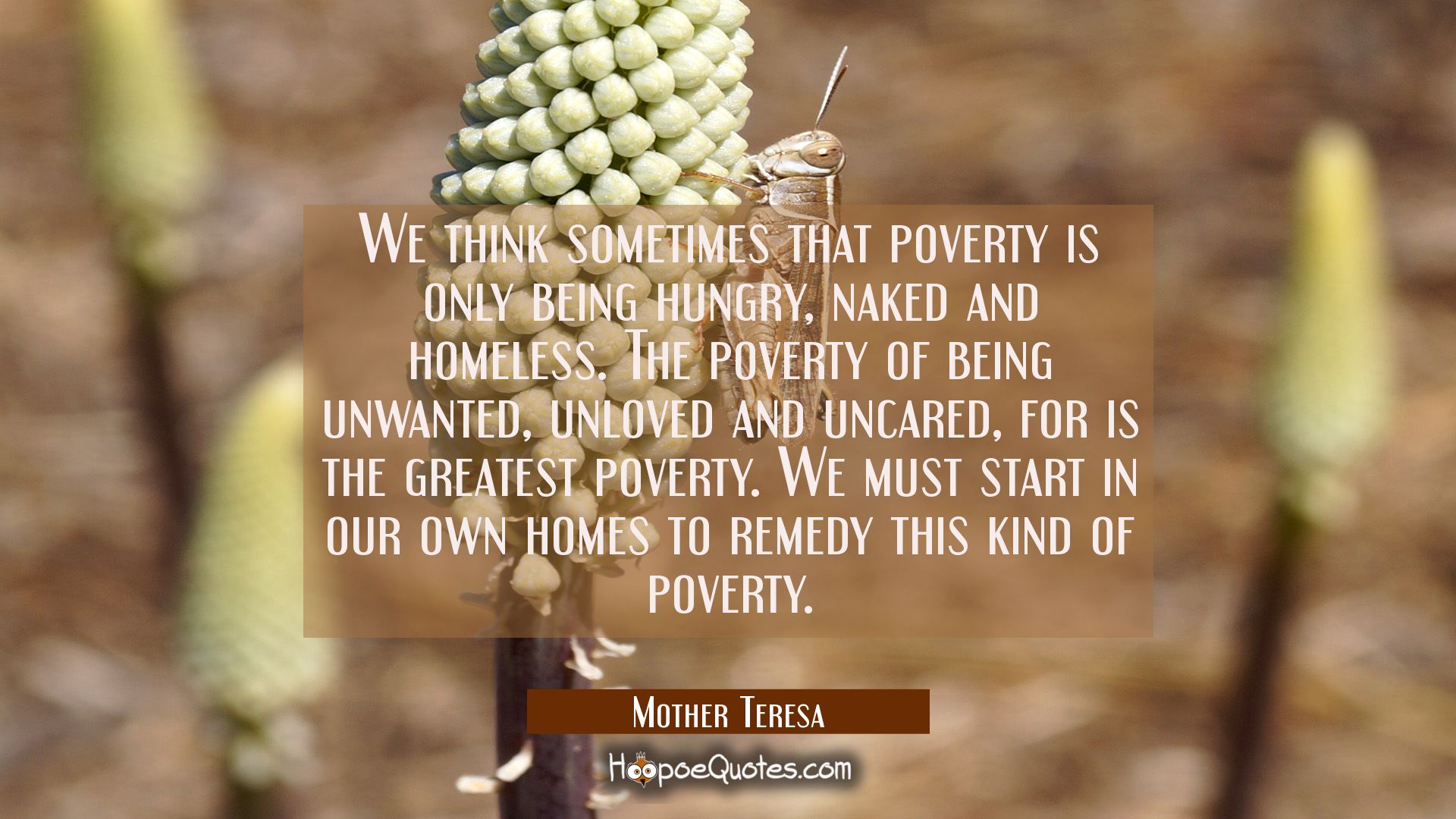 We think sometimes that poverty is only being hungry naked and homeless ...