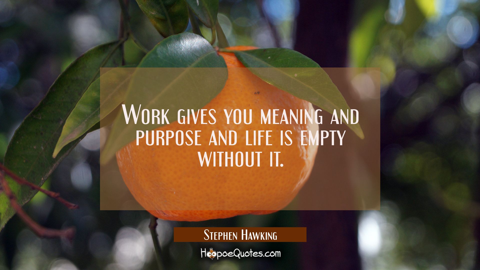 Work gives you meaning and purpose and life is empty without it ...